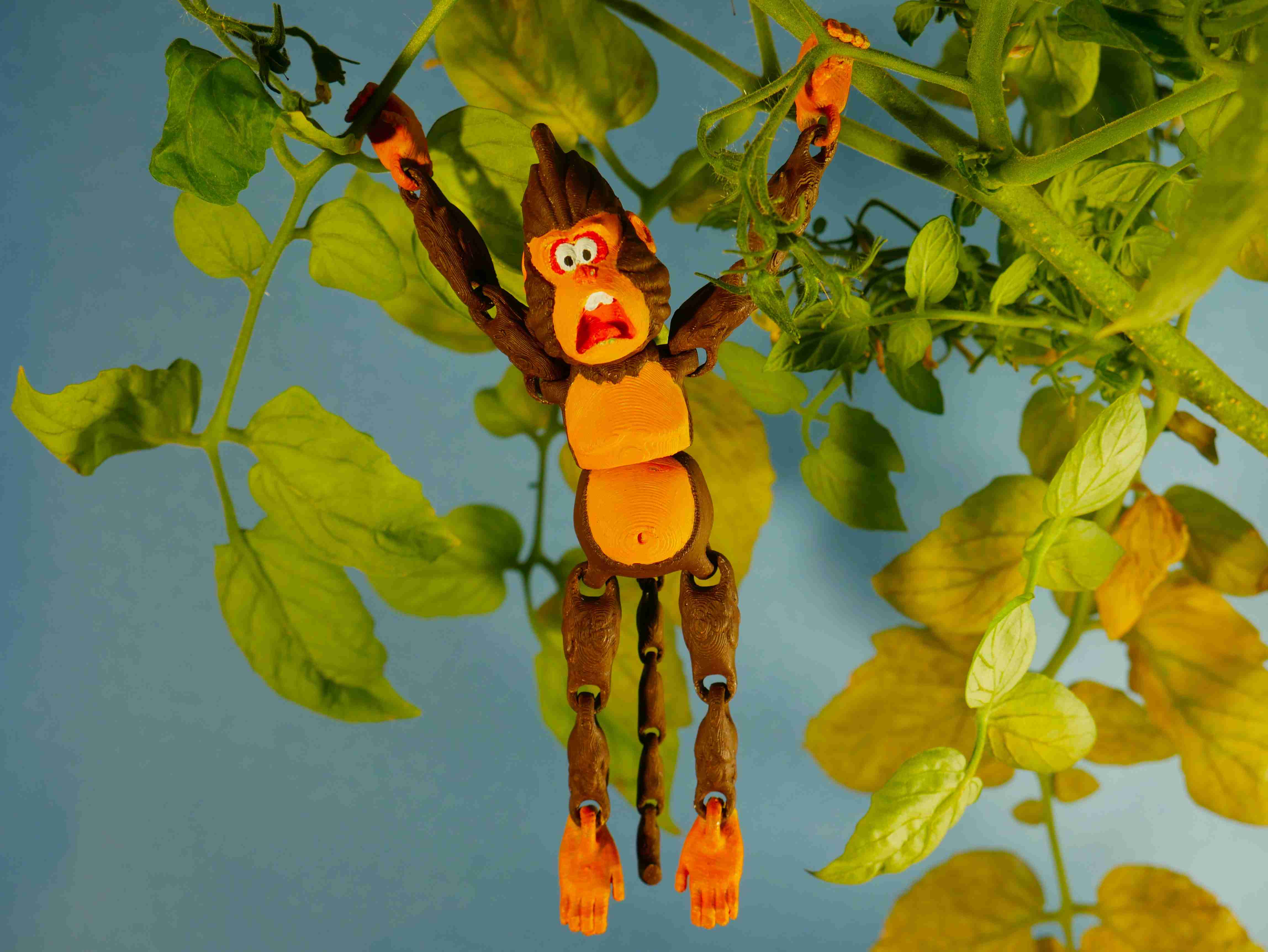 CRAZY MONKEY | 3D models download | Creality Cloud