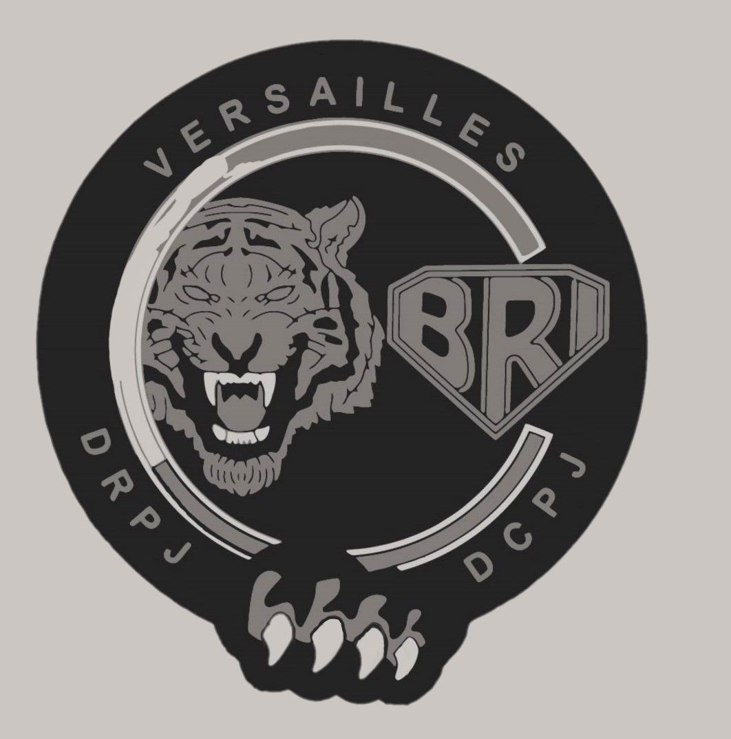 Symbol of the BRI of Versailles | 3D models download | Creality Cloud