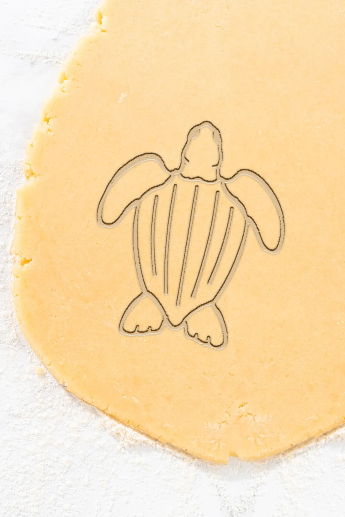 Home Decorations & Ornaments STL Download - Turtle Cookie Cutter ...