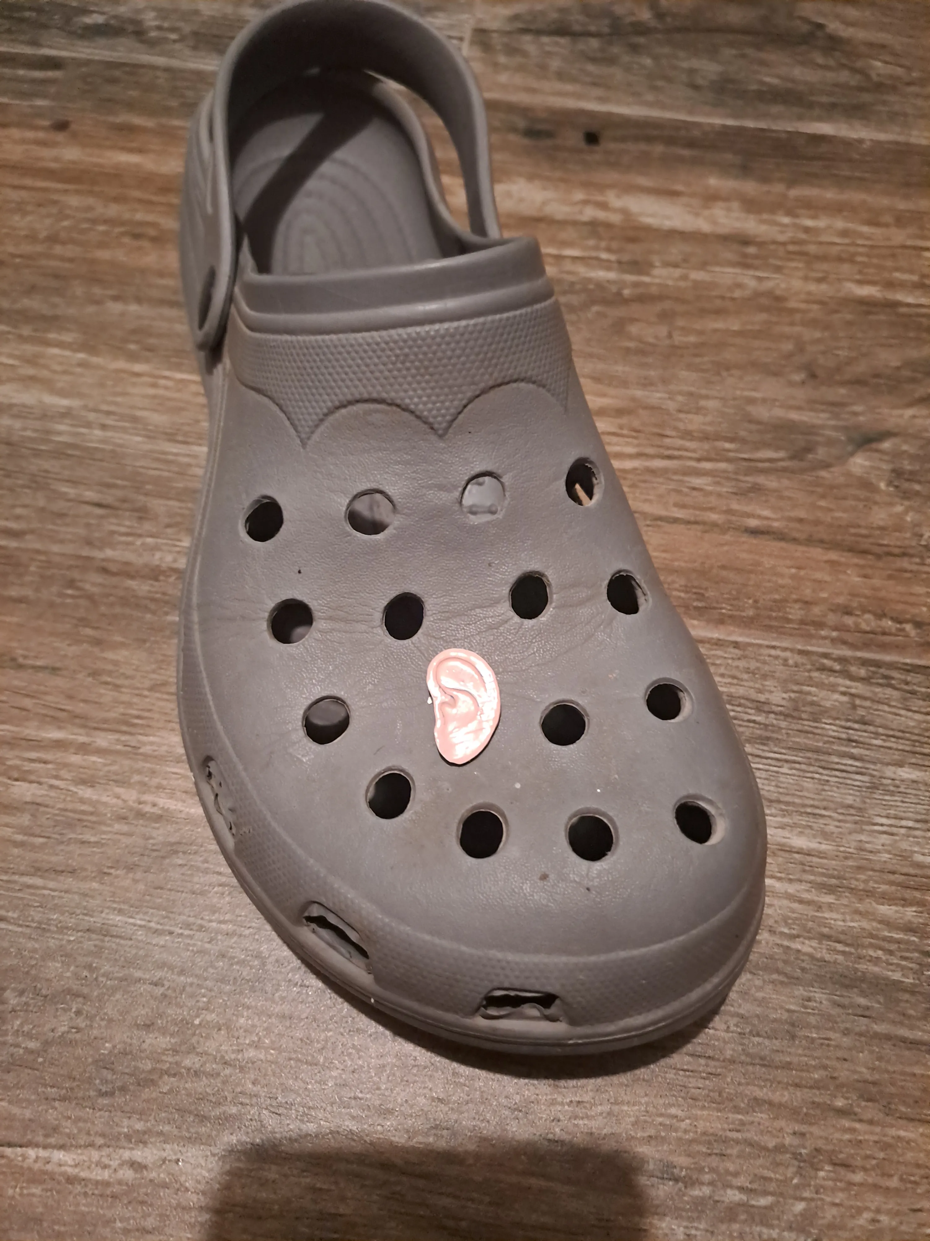 Free Other STL Download - croc's faceby Santiago Tainha