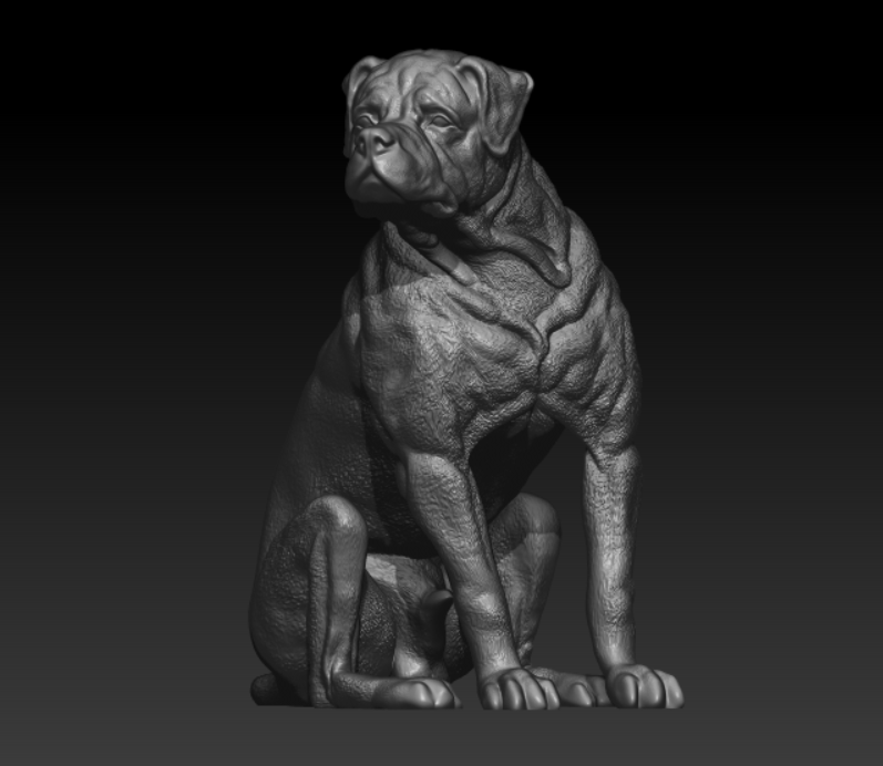 ROTTWEILER DOG SITTING | 3D models download | Creality Cloud