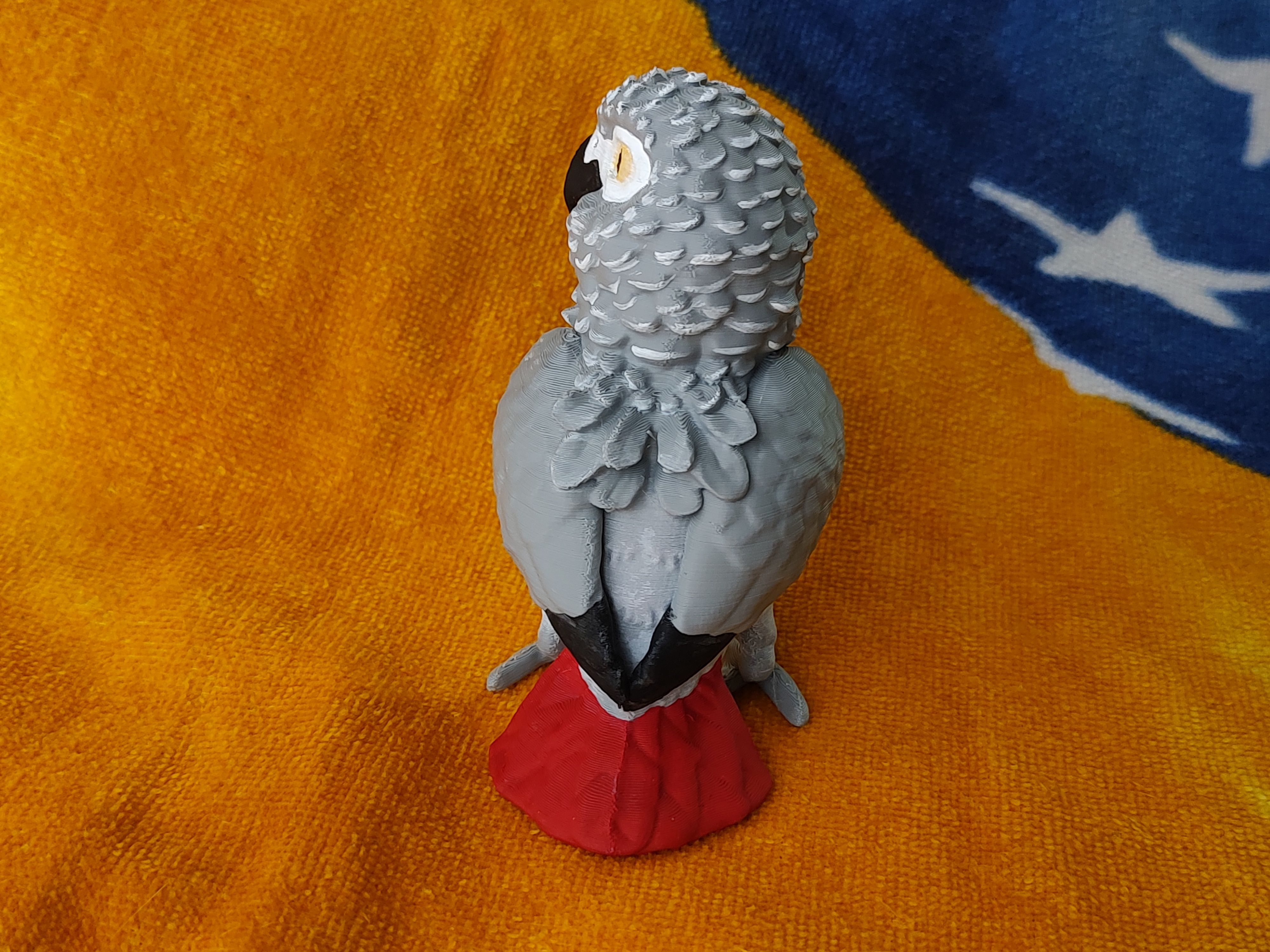 African Grey Parrot | 3D models download | Creality Cloud