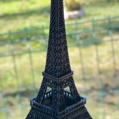 Hi ! I present to you my print of "Eiffel tower" by "Dariusz F ...