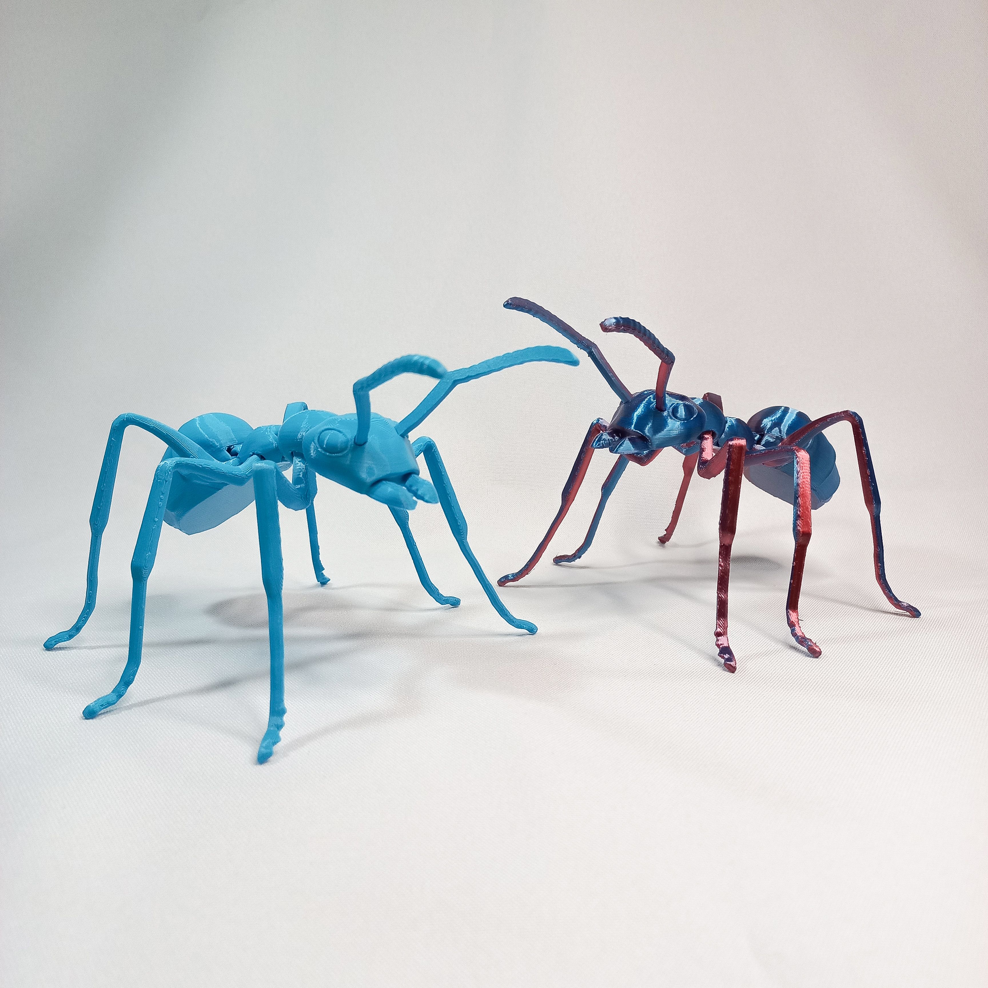 ANT | 3D models download | Creality Cloud