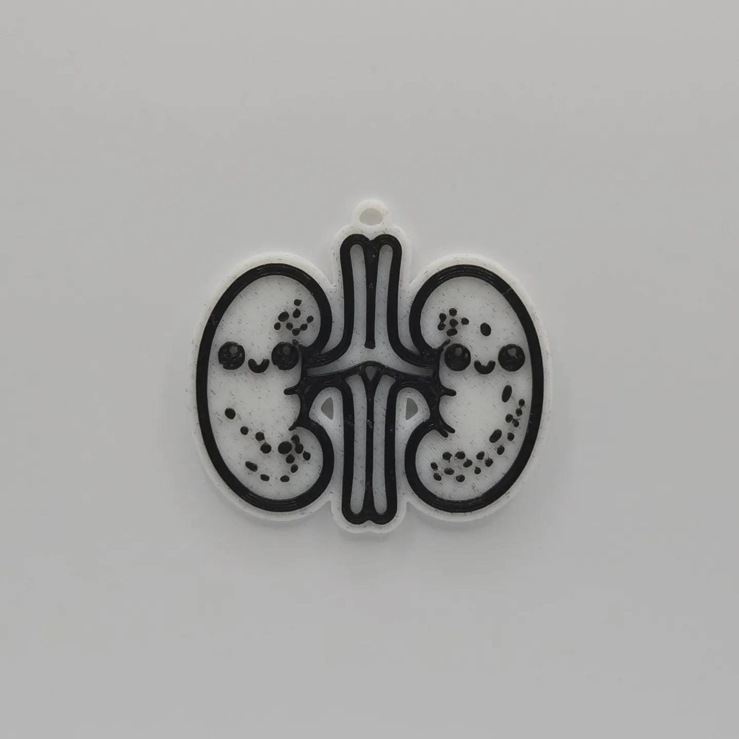 3D Printer Files | 3MF File | Cute Anatomical Kidneys Keychain #1 ...