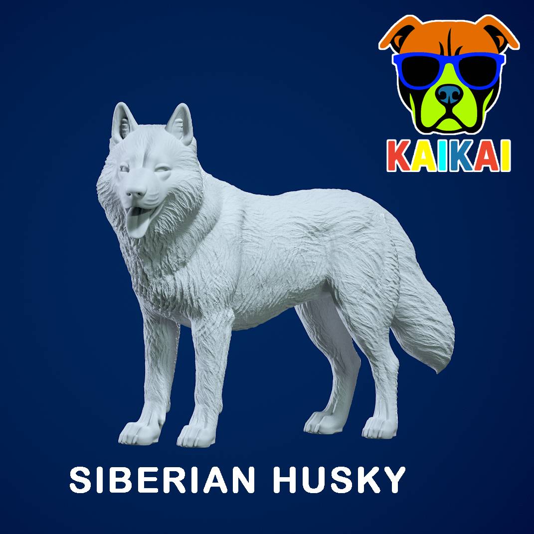 Other STL Download - Siberian Husky - Chukcha model - 3D printby DesignerDC