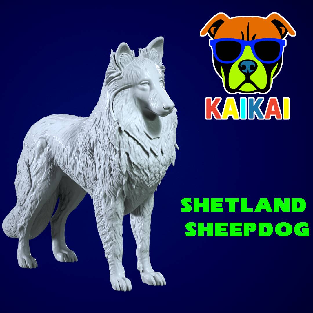 Characters & Creatures STL Download - Shetland Sheepdog - Dwarf Scotch ...