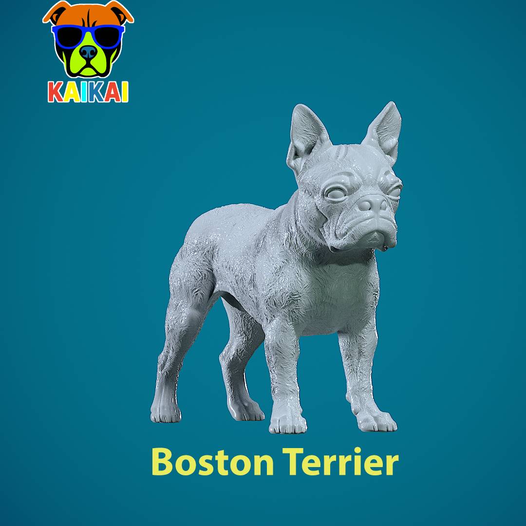 Characters & Creatures STL Download - Boston Bull Terrier Dog ...