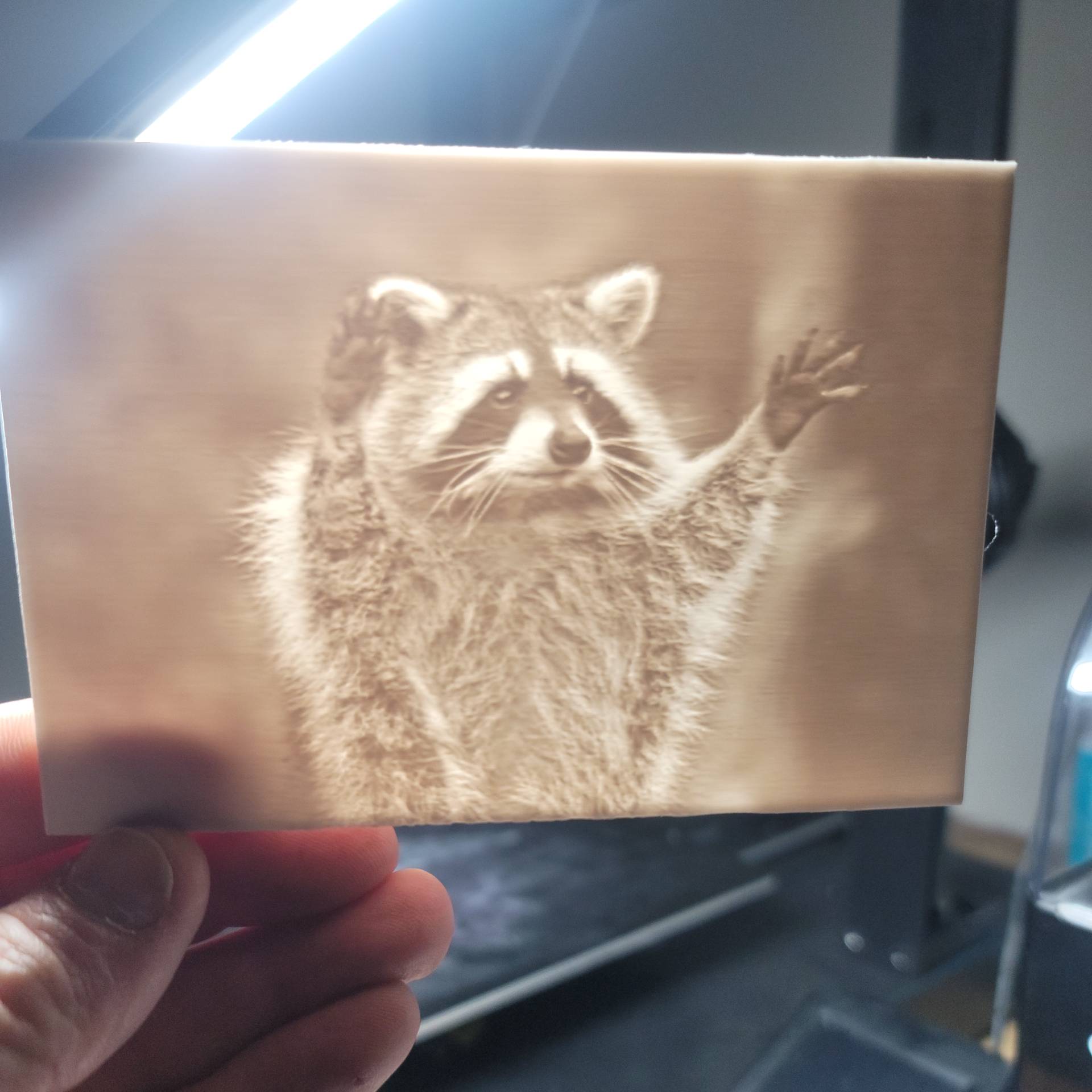 3D Printer Files | 3MF File | Racoon Night Light Litho | Creality Cloud