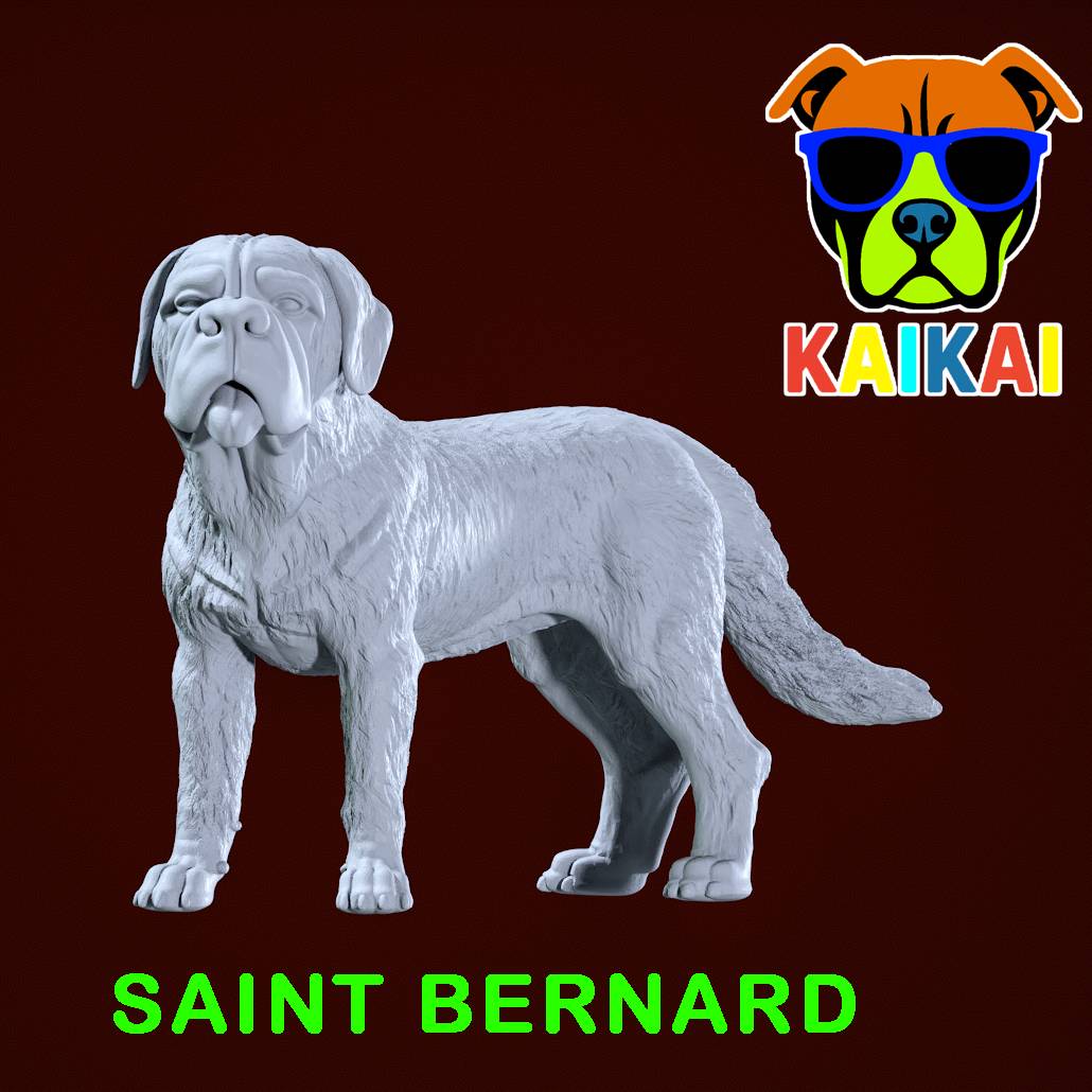 Other STL Download - St. Bernard - Saint Bernard model - 3D printby ...