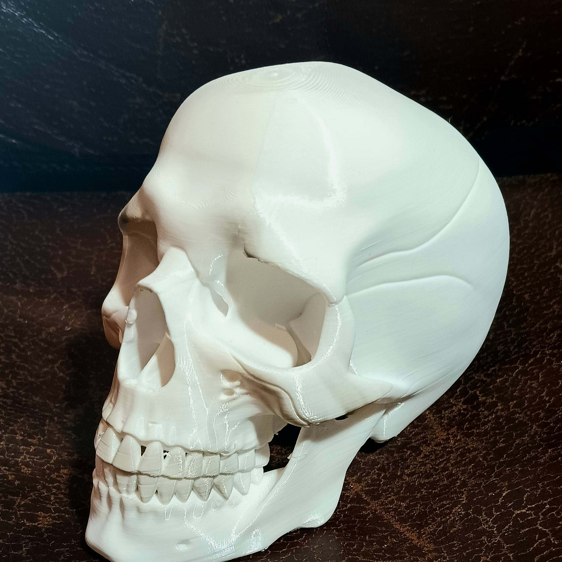 3D Printer Files | 3MF File | Scull | Creality Cloud