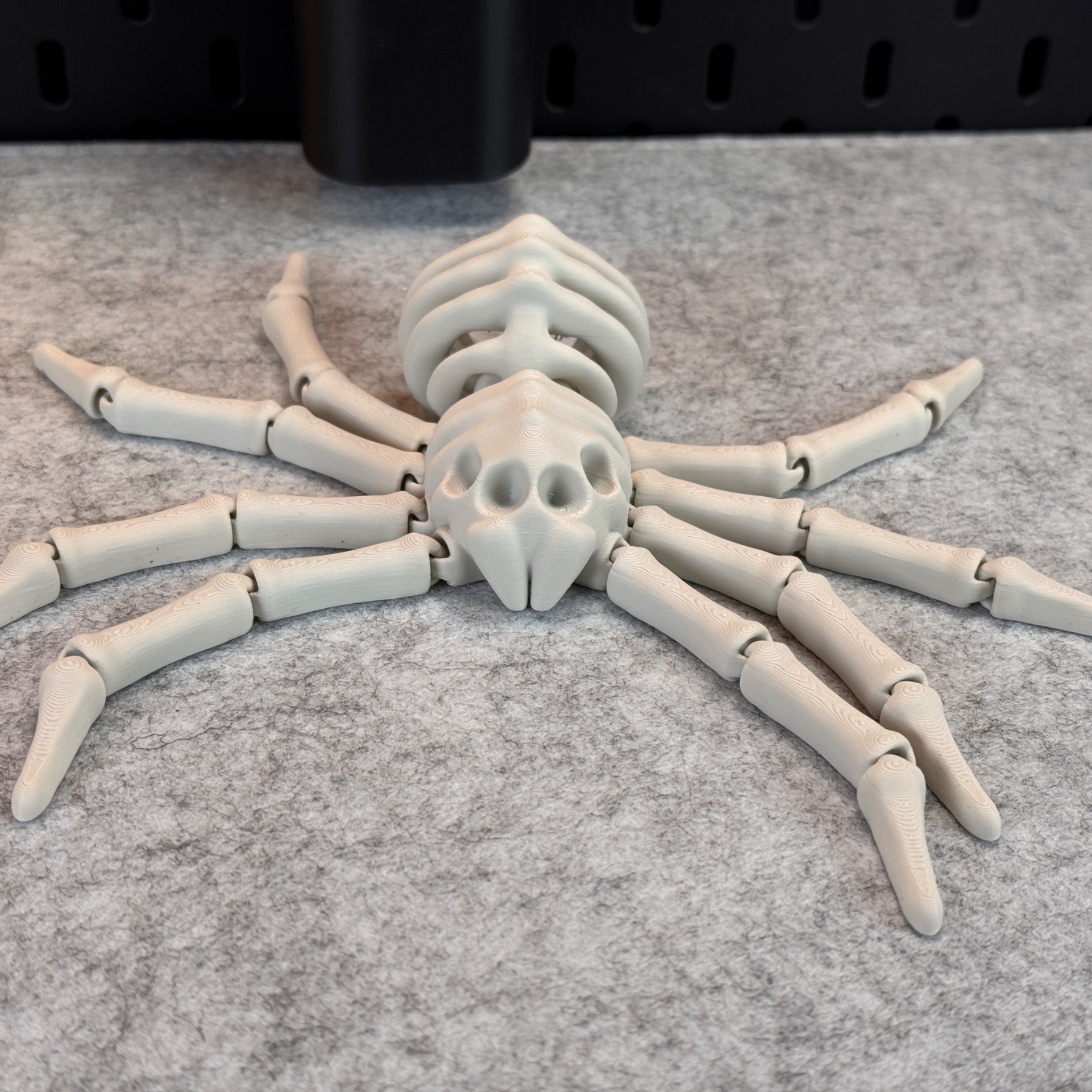 3D Printer Files | 3MF File | Flexi Skeleton Spider V2 | Creality Cloud