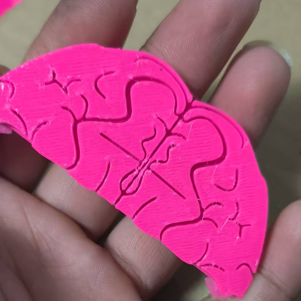 3D Printer Files | 3MF File | brain diagram | Creality Cloud