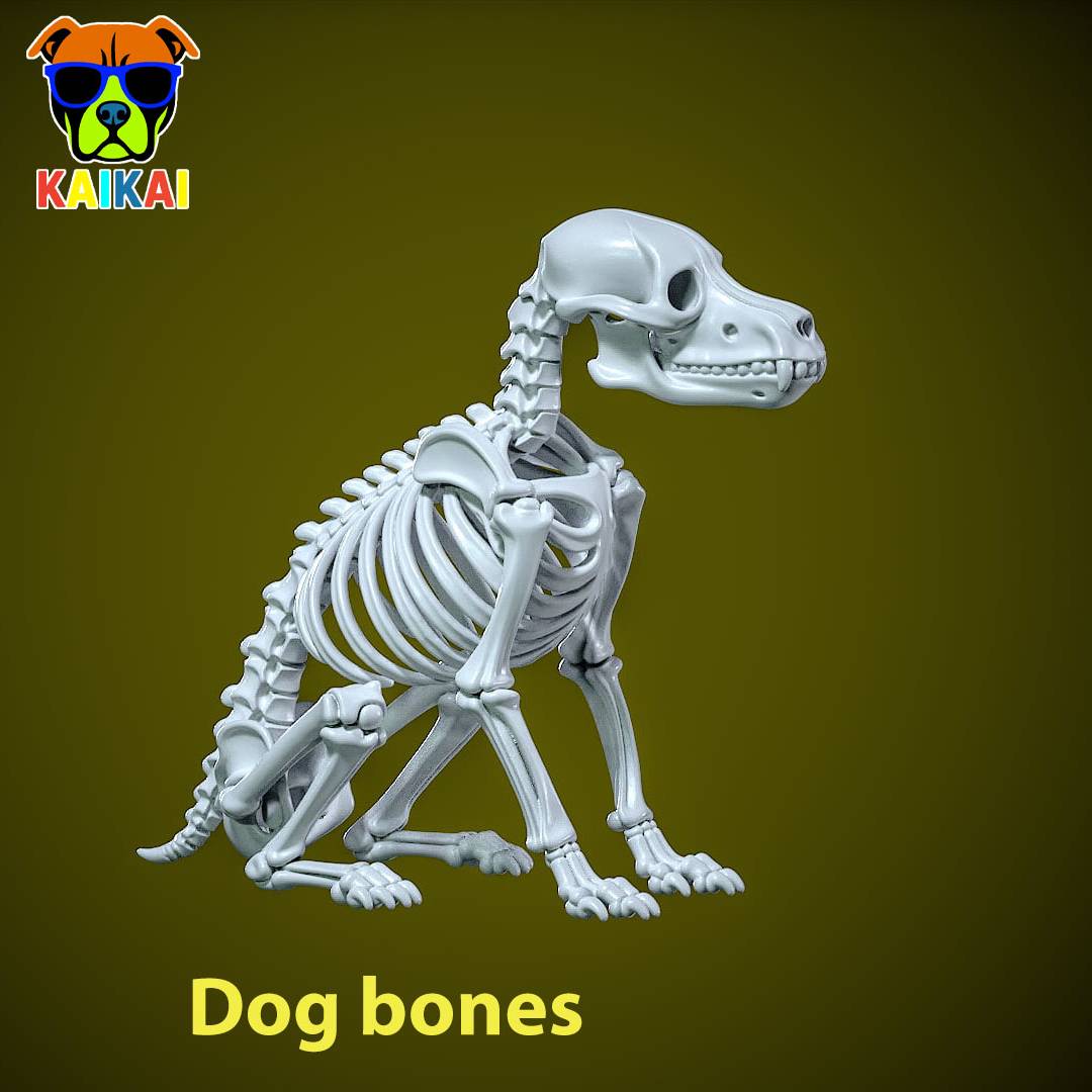 Characters & Creatures STL Download - Dog Bones - Animal Bones model ...