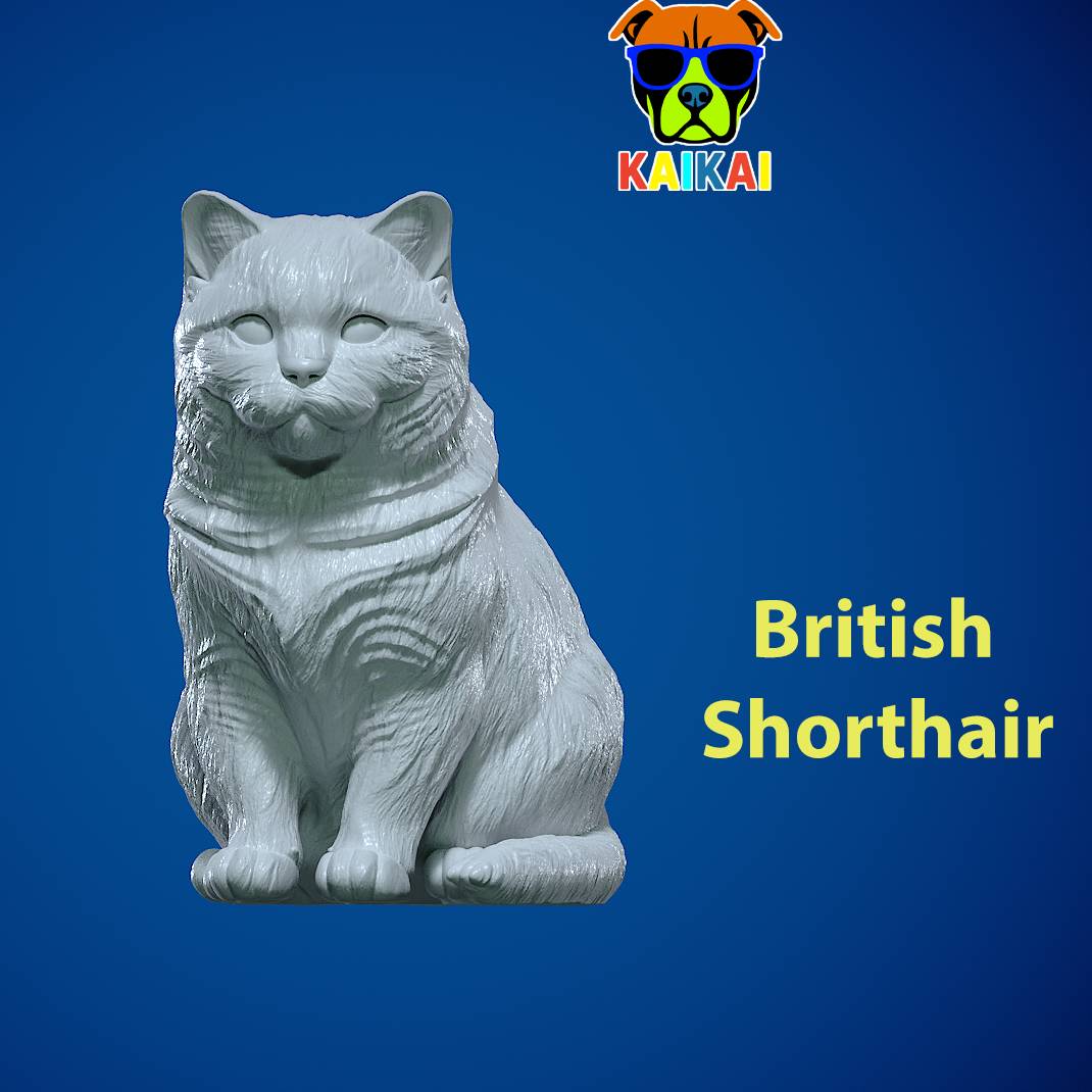Characters & Creatures STL Download - British Shorthair cat - Blue ...