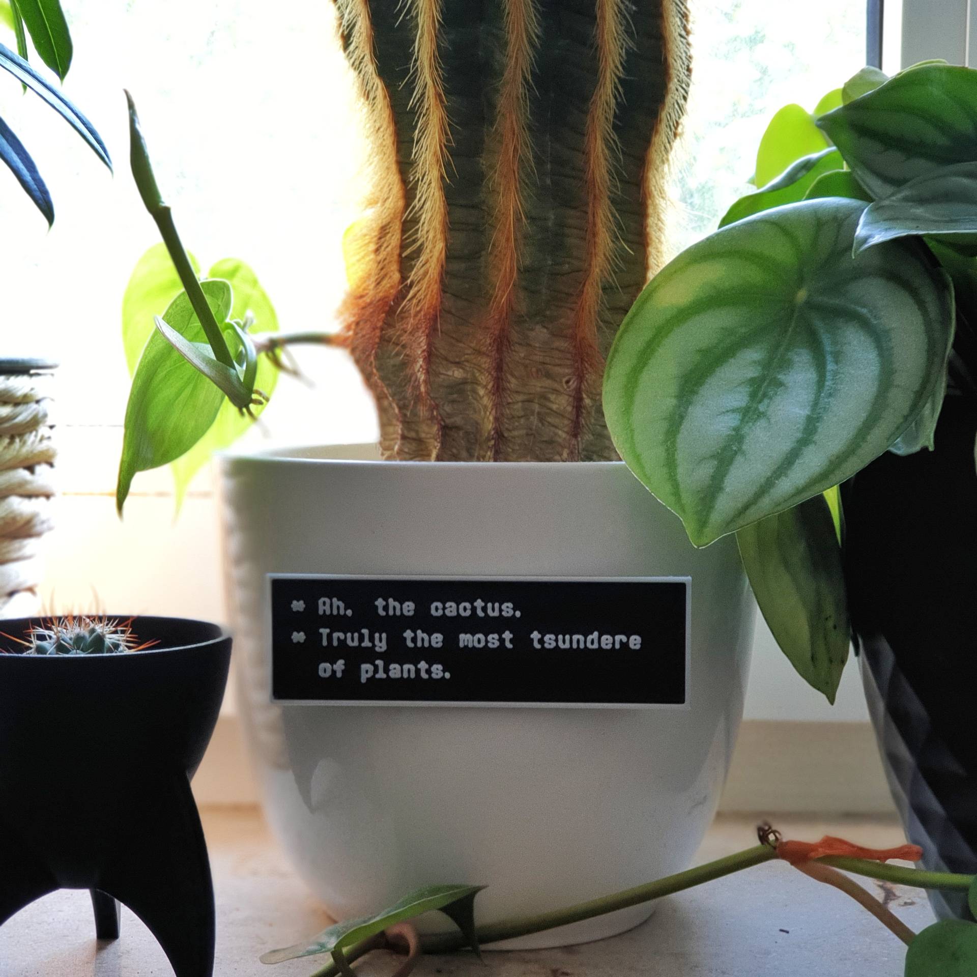 3D Printer Files | 3MF File | Undertale Cactus Plate | Creality Cloud