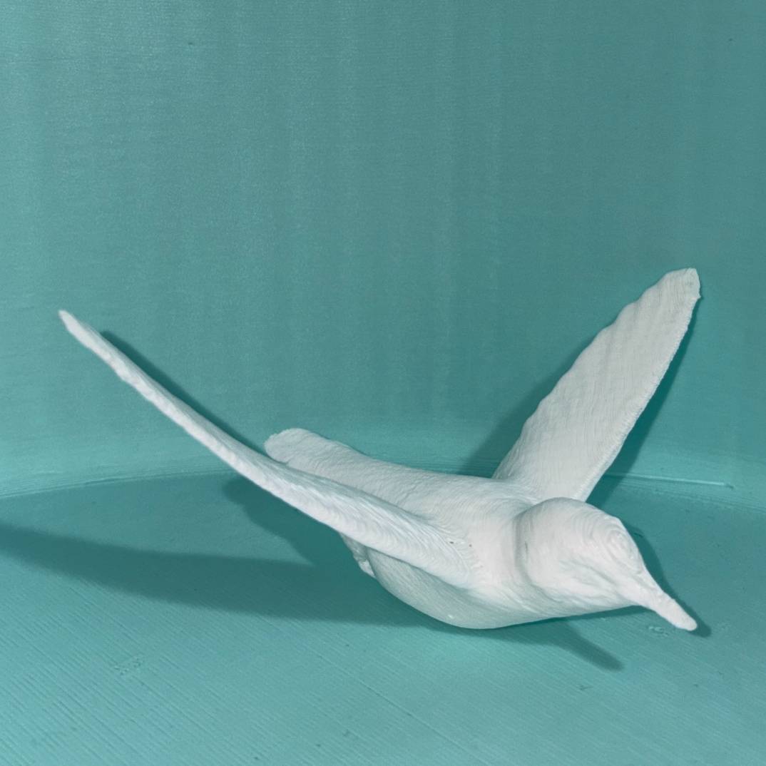 3D Printer Files | 3MF File | Hummingbird | Creality Cloud