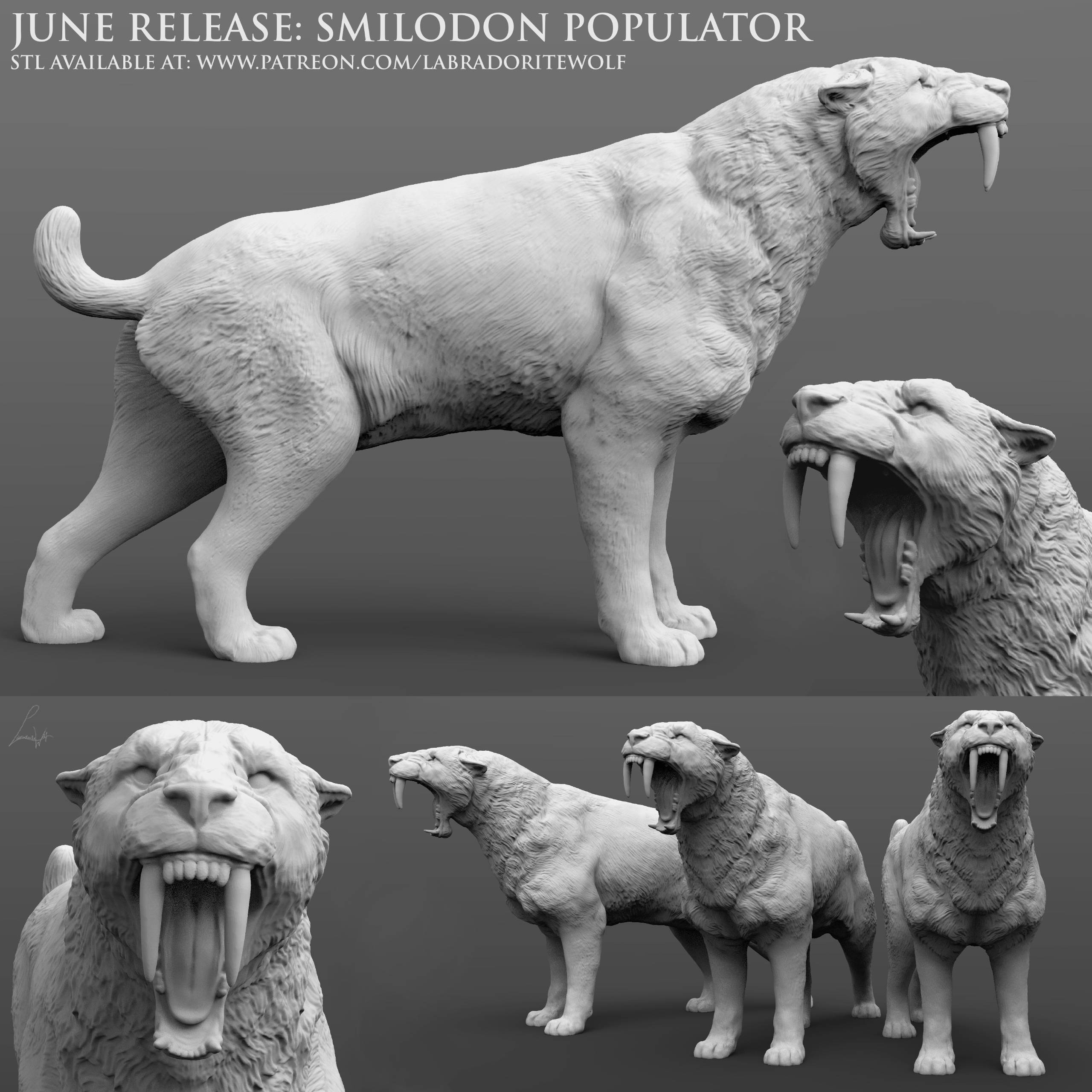 Characters & Creatures STL Download - Smilodon populator, Saber-Toothed Tiger (roaring)by ...