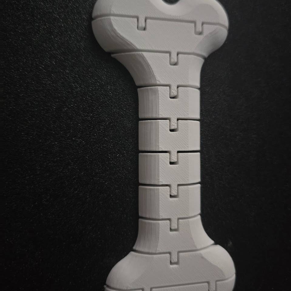 3D Printer Files | 3MF File | Articulated Bone | Creality Cloud