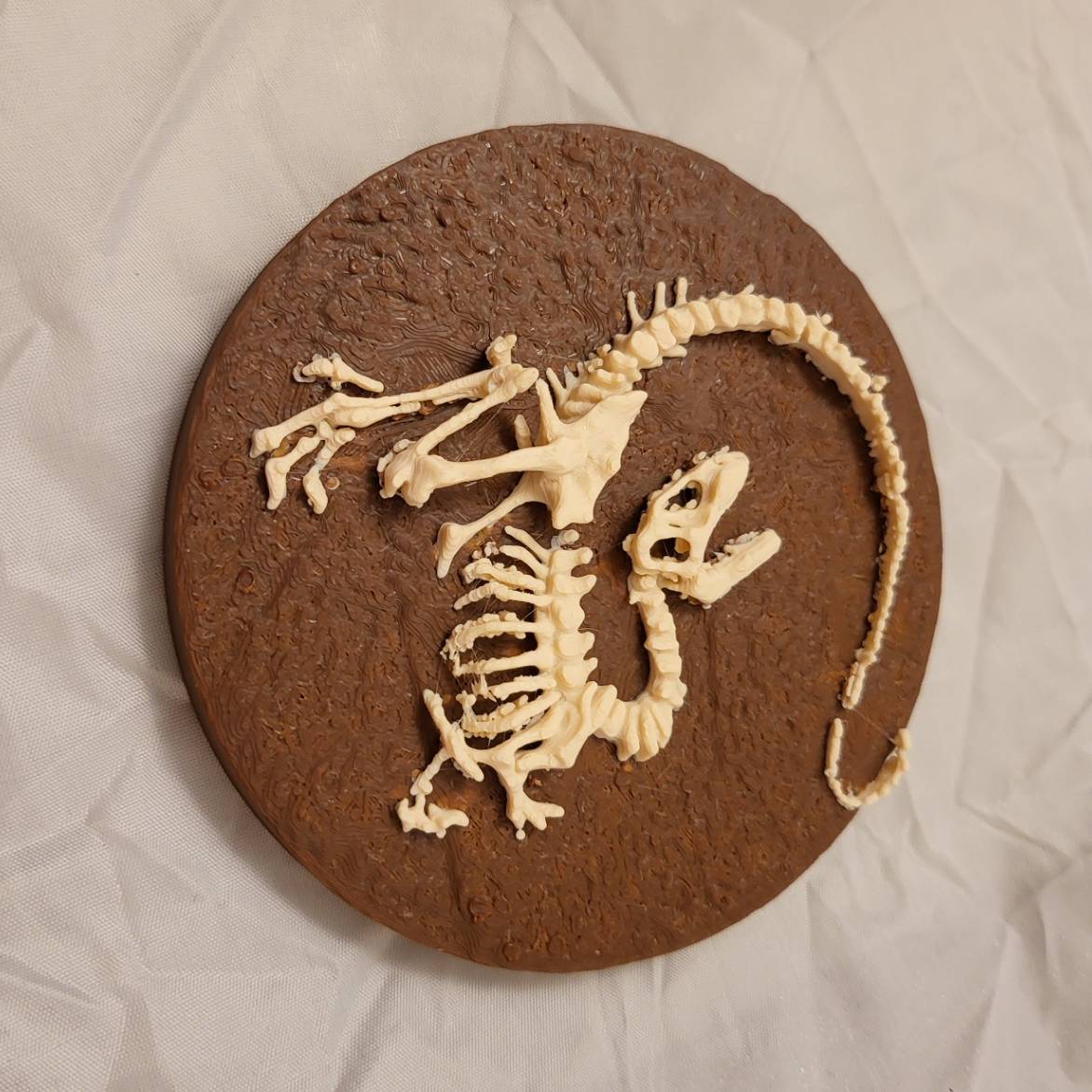 3D Printer Files | 3MF File | Raptor fossil. | Creality Cloud