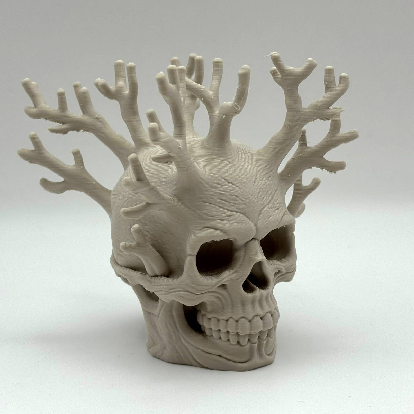 3D Printer Files | 3MF File | Branch Skull Decoration | Creality Cloud