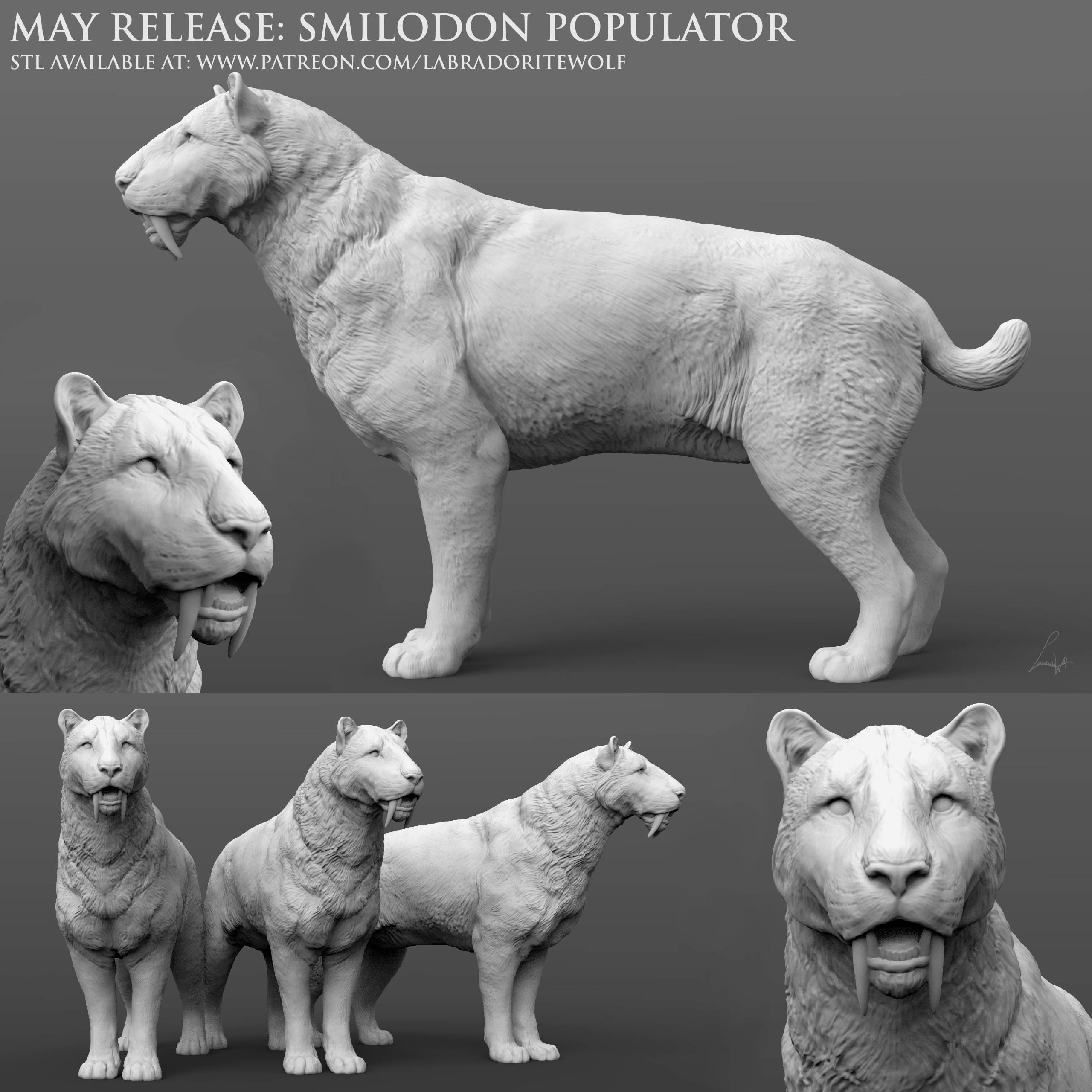 Characters & Creatures STL Download - Smilodon populator, Saber-Toothed ...