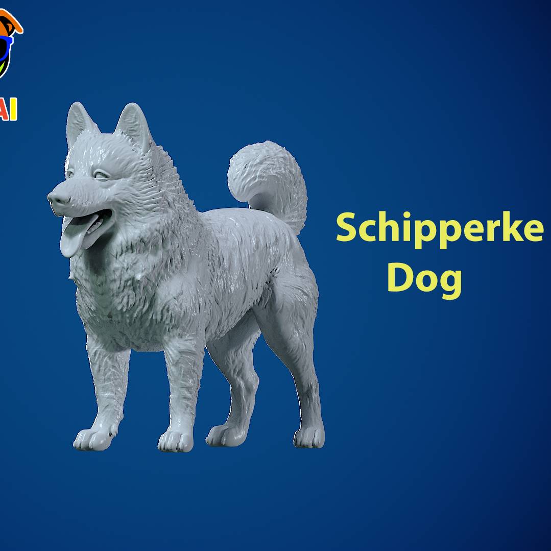 Characters & Creatures STL Download - Schipperke Dog model- Little ...
