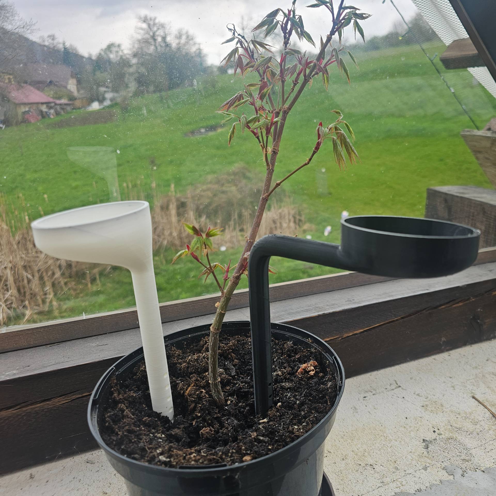 Free Other STL Download - Targeted Root Watering System for Plantersby ...