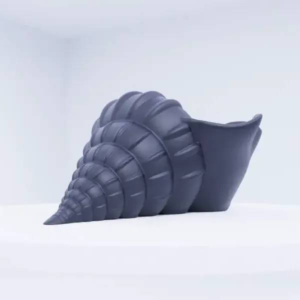 3D Printer Files | 3MF File | Shell - Natural Coastal Decorative Piece ...