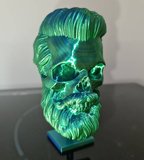 Classic Rogi Beard Skull I have been meaning to print this model for ...