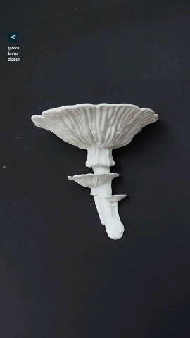 The newest sample of my fungi collection! A organic shelf that looks ...