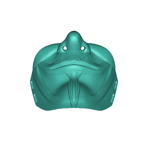 Guy Fawkes Half Mask | 3D models download | Creality Cloud