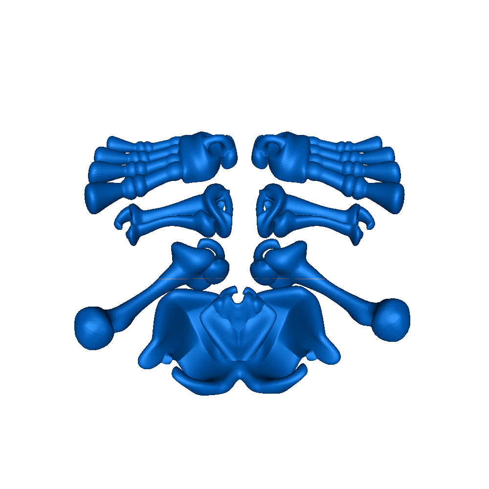 Free Medical & Health STL Download - skeleton by user8162806389