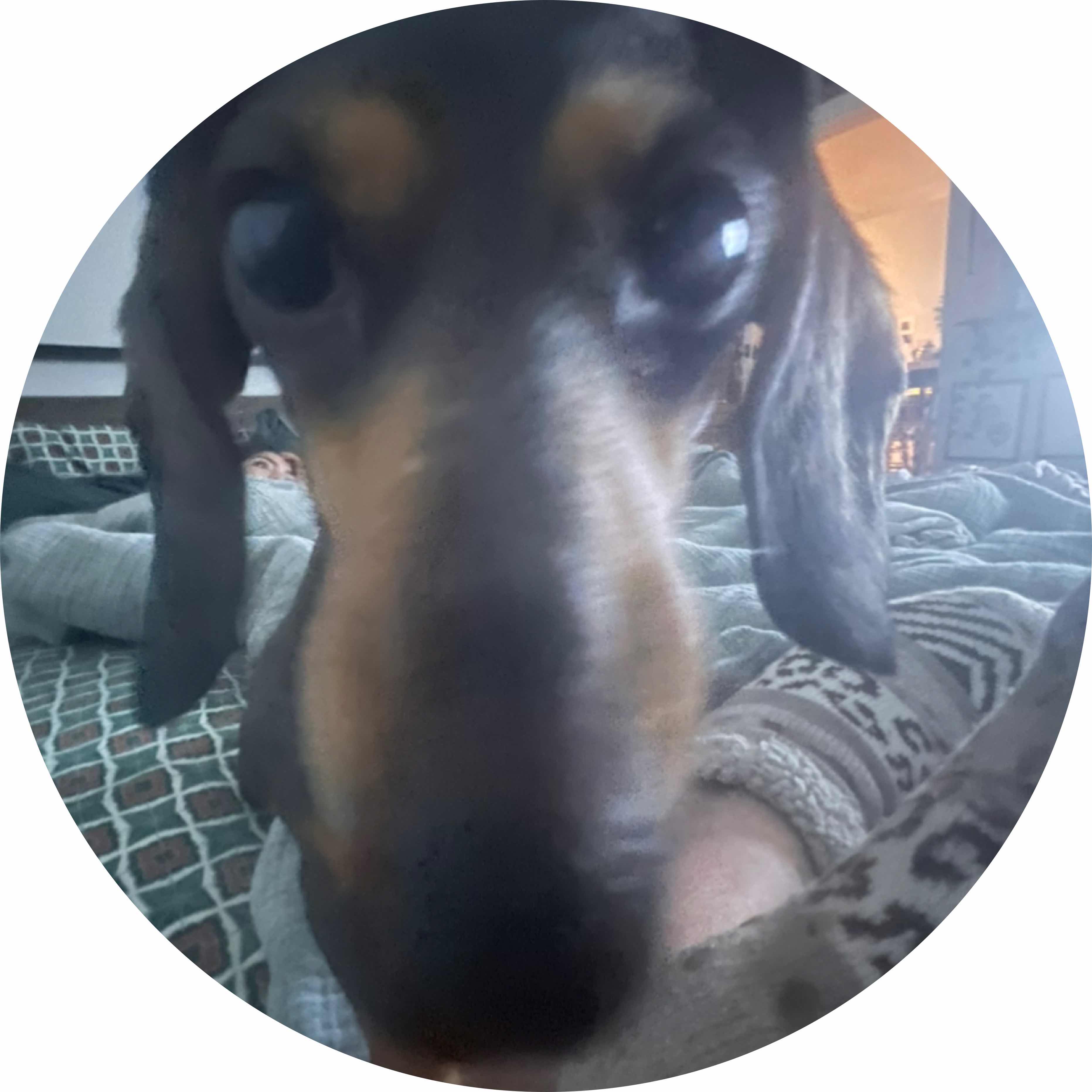 Free Characters & Creatures STL Download - Shahsby Matt_Emerick