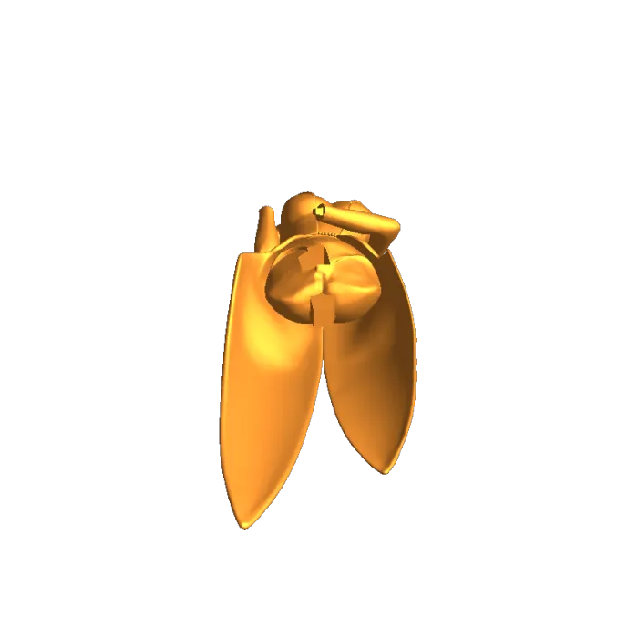 Characters & Creatures STL Download - Jade - Dragon Questby nlsinh