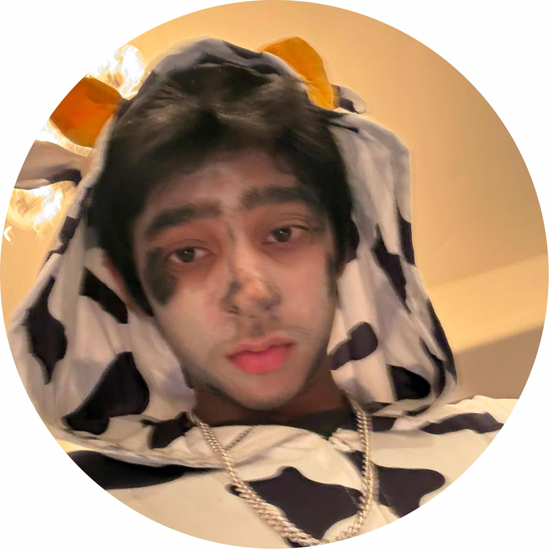 Neil Ahuja | 3D Models