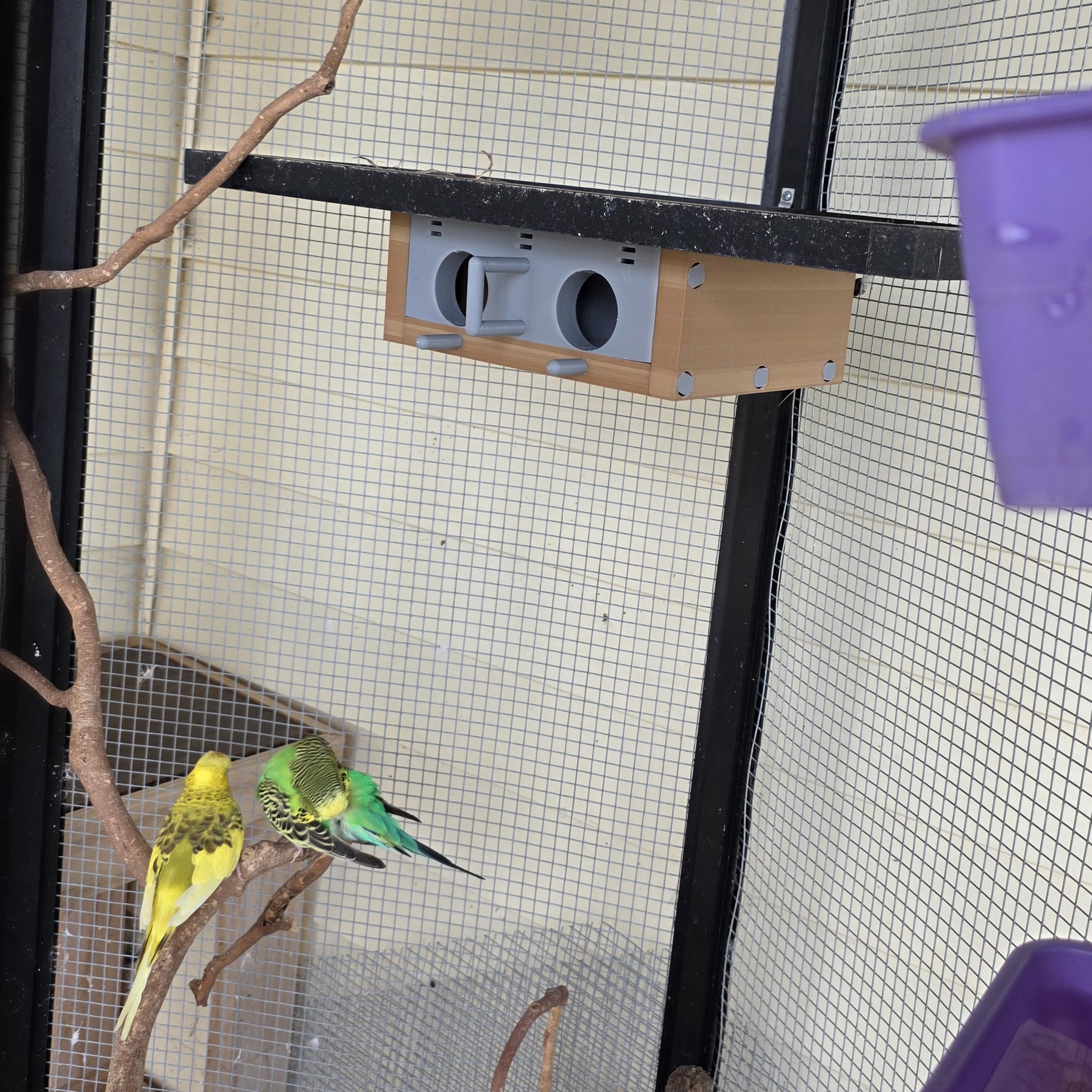 Other STL загрузка - Corner Budgie Box - Gizmotech13