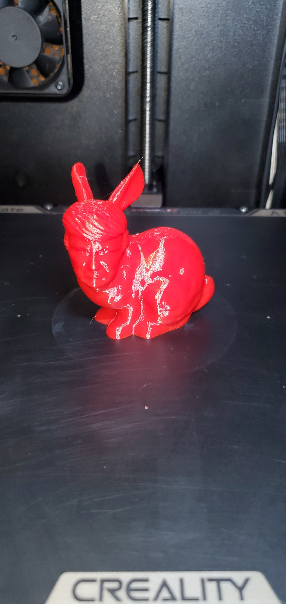 the trump bunny absolutely adorable 😍 | Creality Cloud