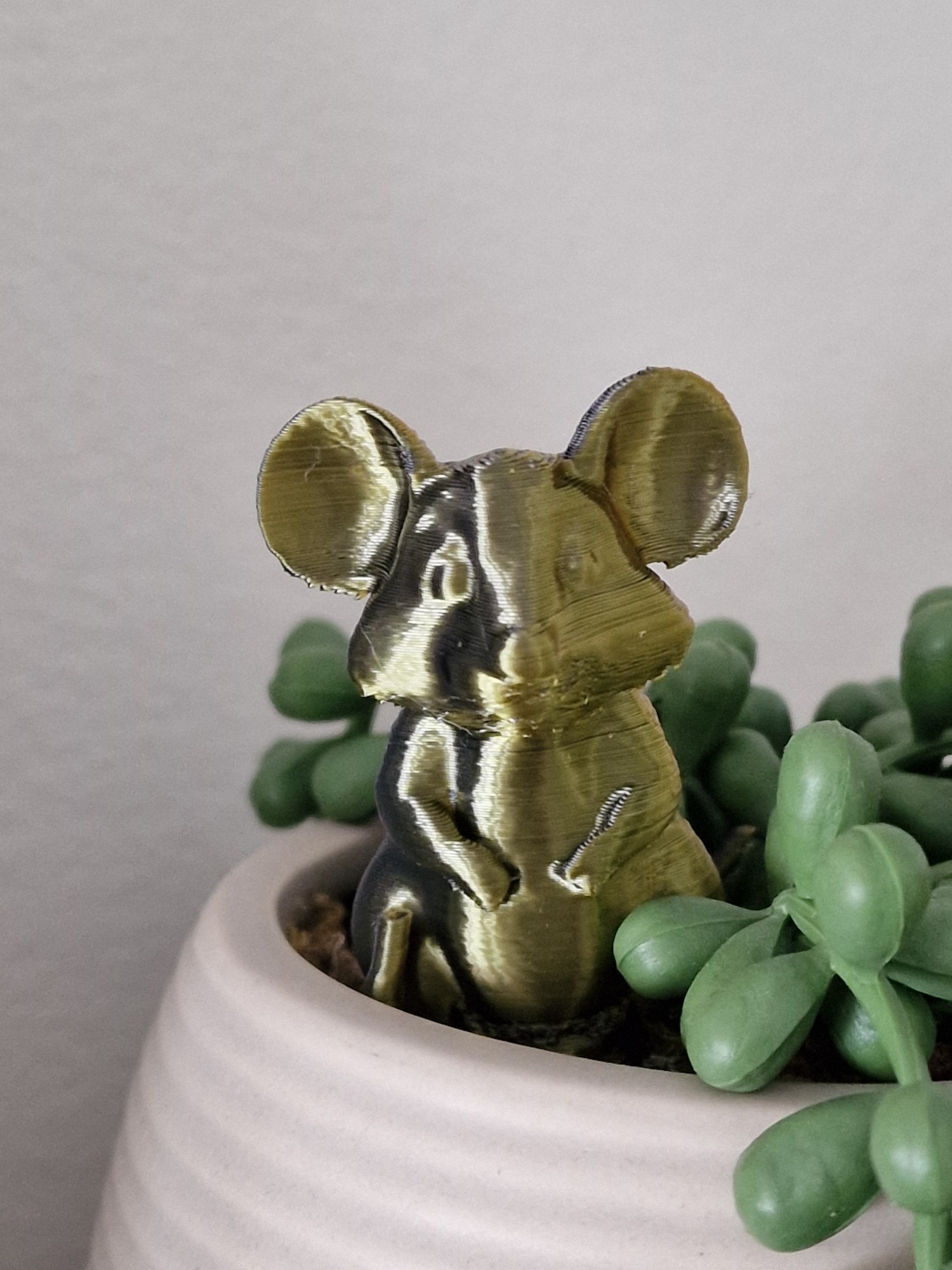 I printed this for my youngest daughter and i thought one would look nice in the plant pot. Very ...