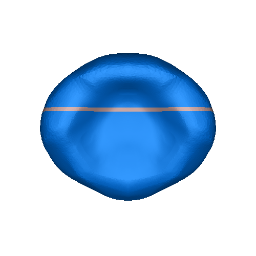 Free Other STL Download - Red Blood Cellby The_Tree_Man