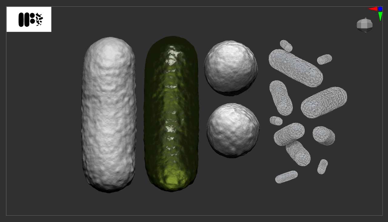 ROD-SHAPED BACTERIA (BACILLI) | 3D models download | Creality Cloud