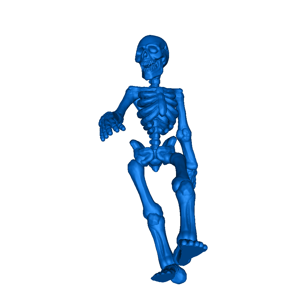 Free Other STL Download - skeleton by Thomas Mcfall