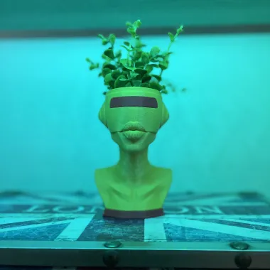 Bot flower pot You can upscale it in any size you want to fit any plant ...