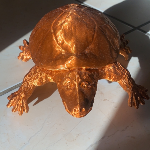 This turtle came from a dream and landed on my 3D printer