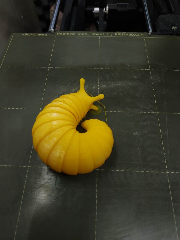 Enlarged Curled up Friendly Slug | 3D models download | Creality Cloud