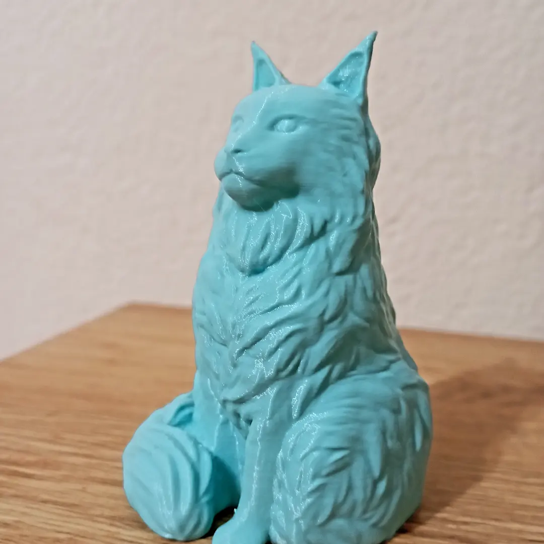 Cat with 0.1 layer height | Creality Cloud