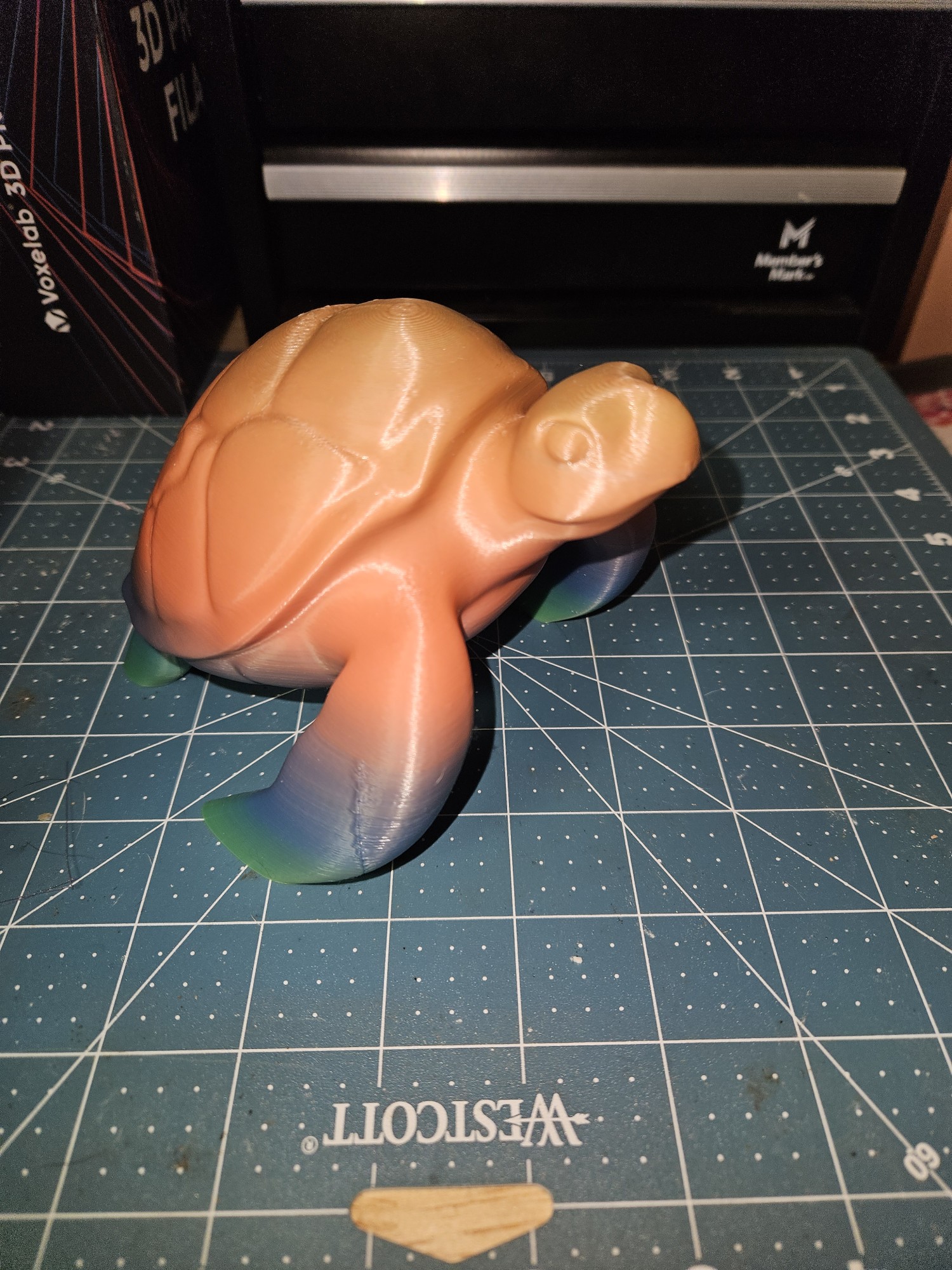 Turn out great. | Creality Cloud