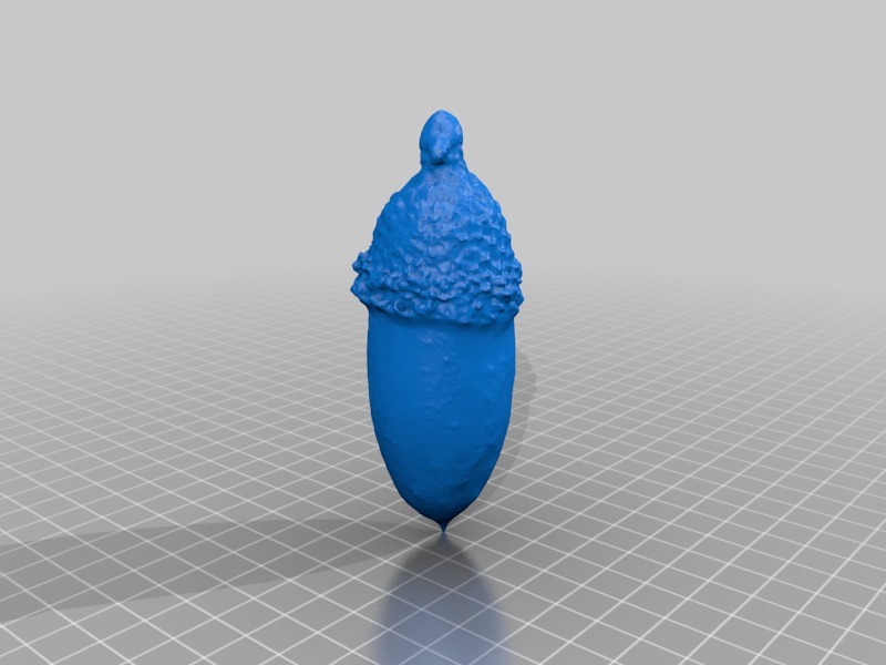 Free Other STL Download - Cork Oak Acorns by SMT_M 🦊