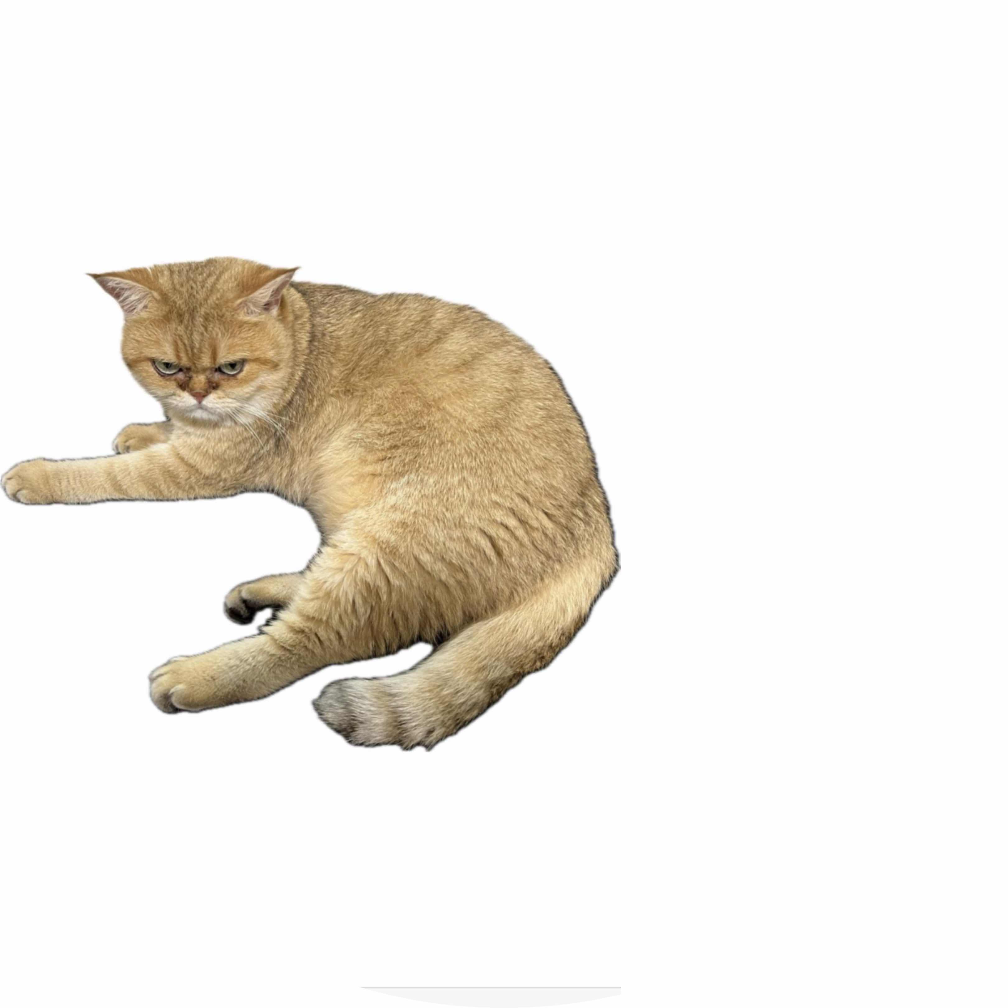 Amongusguy's Profile | Creality Cloud