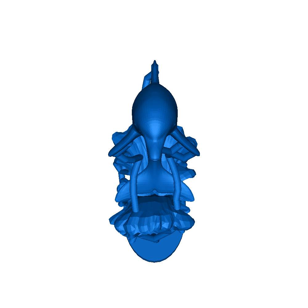 dolphin | 3D models download | Creality Cloud